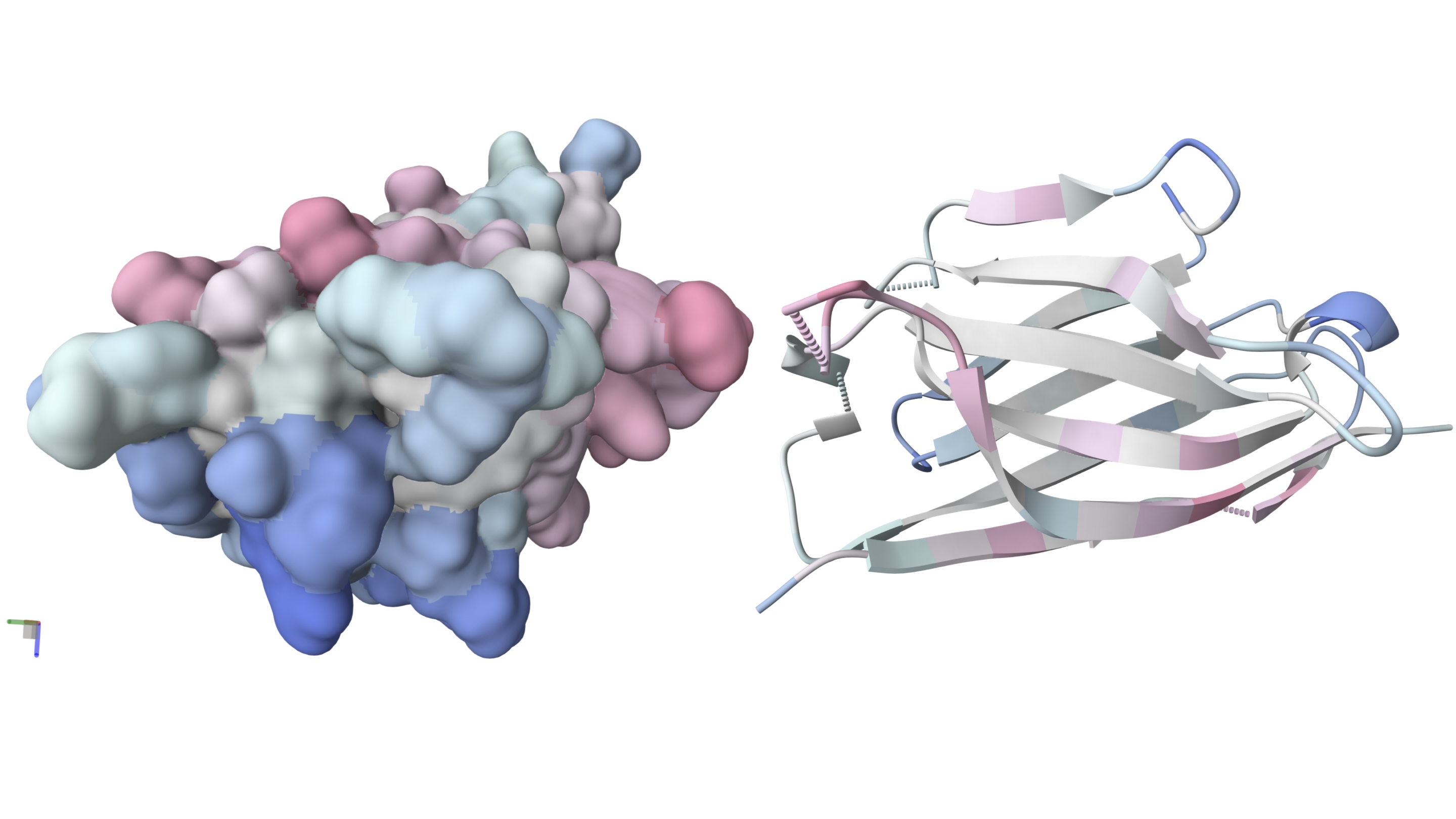 Developability Predictions in Therapeutic Antibody Discovery